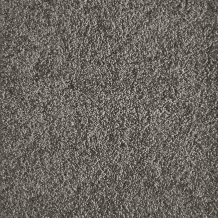 Jazzy Pewter Nylon Carpet | The Perfect Carpet