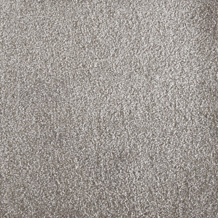 Venue Taupe Nylon Carpet | The Perfect Carpet