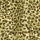 Cape Town Cheetah Nylon Carpet | The Perfect Carpet