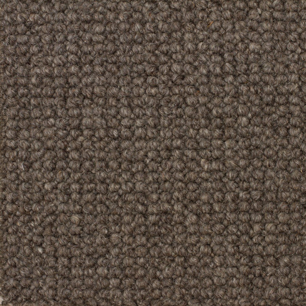 Ambassador Scottish Gray Wool Carpet | The Perfect Carpet