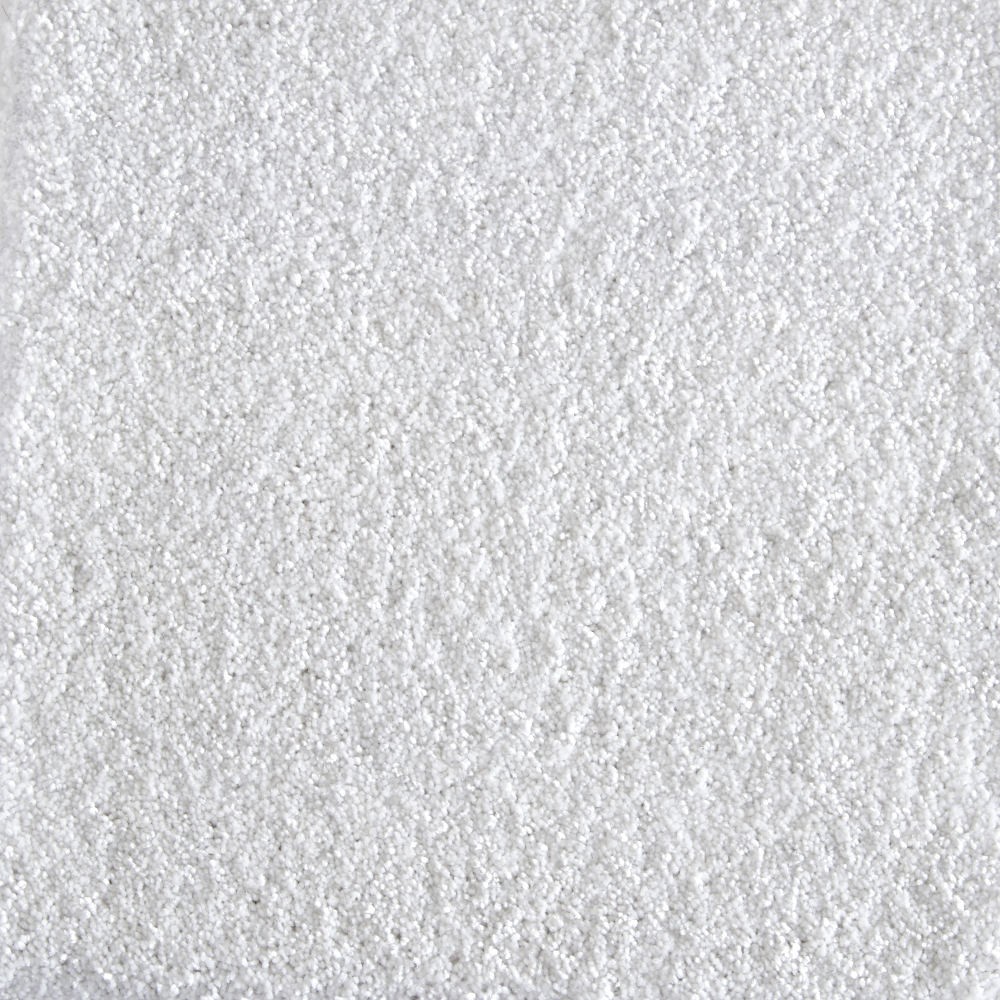 Jazzy Platinum Nylon Carpet | The Perfect Carpet