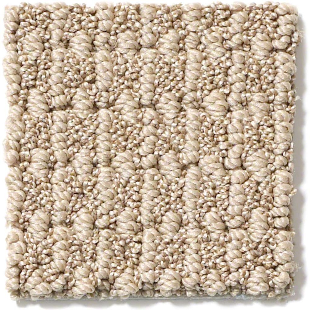 Moondance Neutral Ground Nylon Carpet | The Perfect Carpet