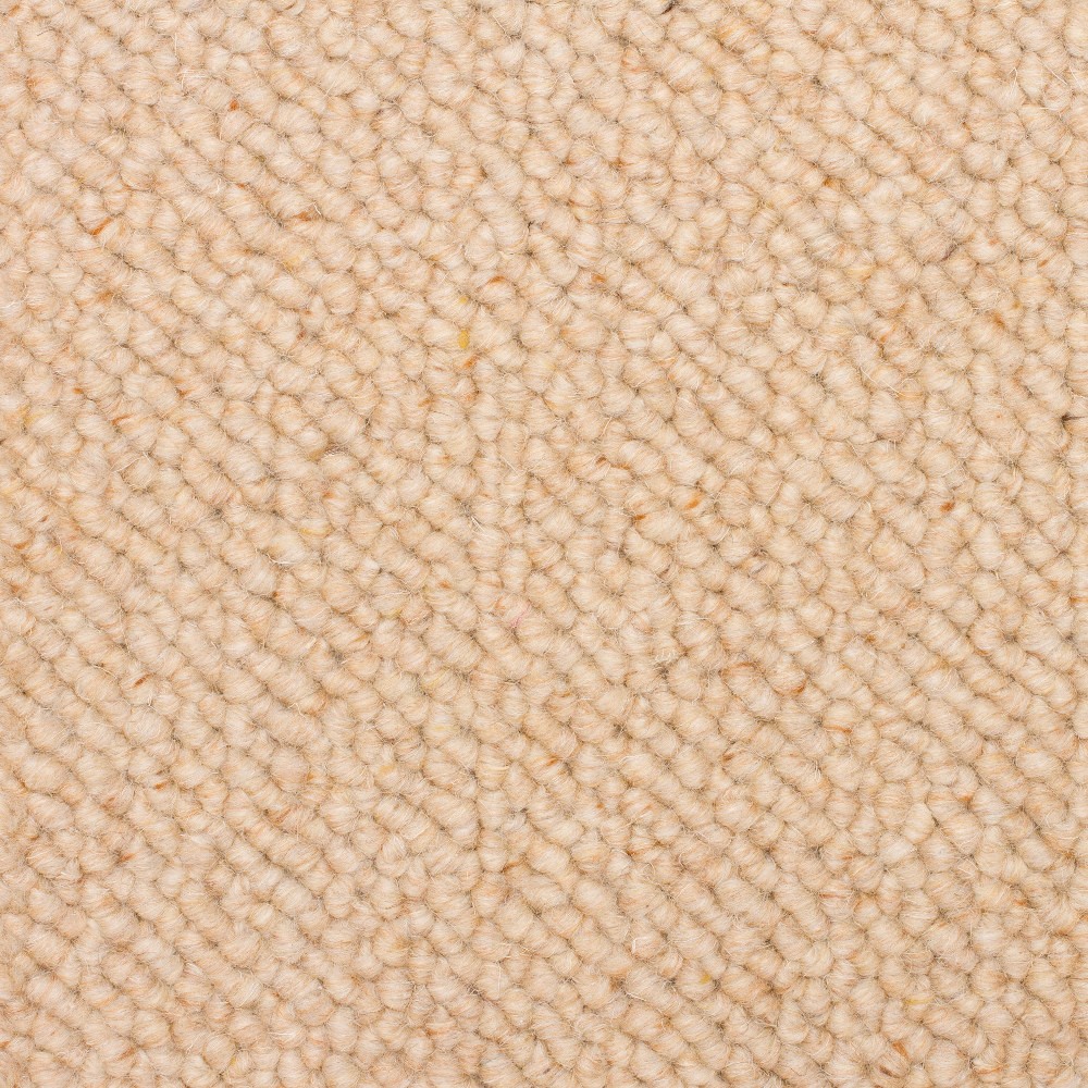 Troy Doeskin Wool Carpet | The Perfect Carpet