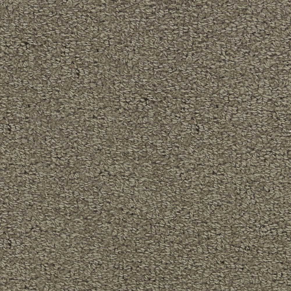 Wool Tip Shear II Suede Wool Carpet | The Perfect Carpet